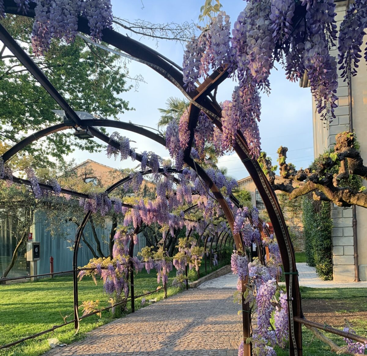 A Casa Spadoni Faenza | Casa Spadoni
